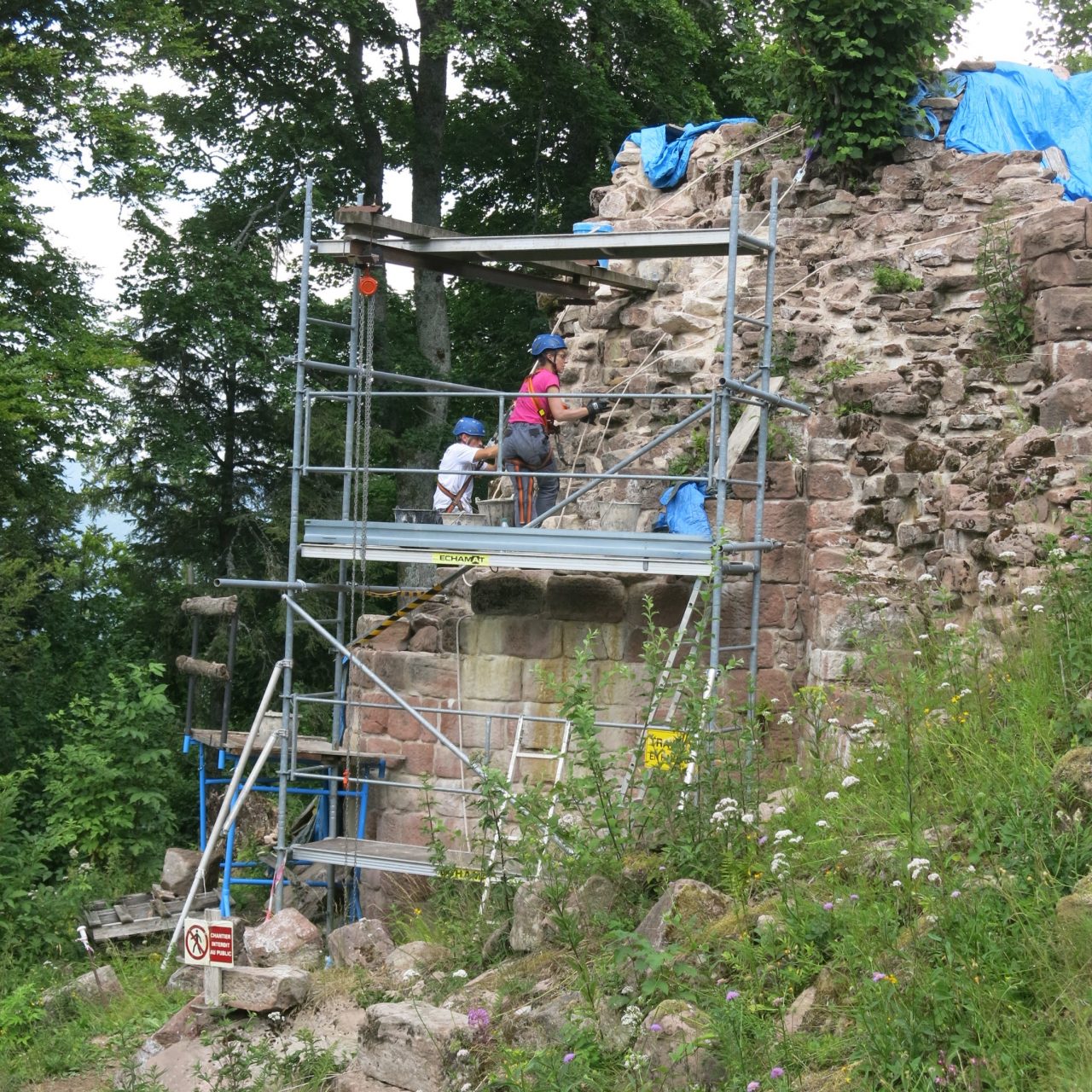 Château de Salm – Un Château Fort entre Alsace et Lorraine